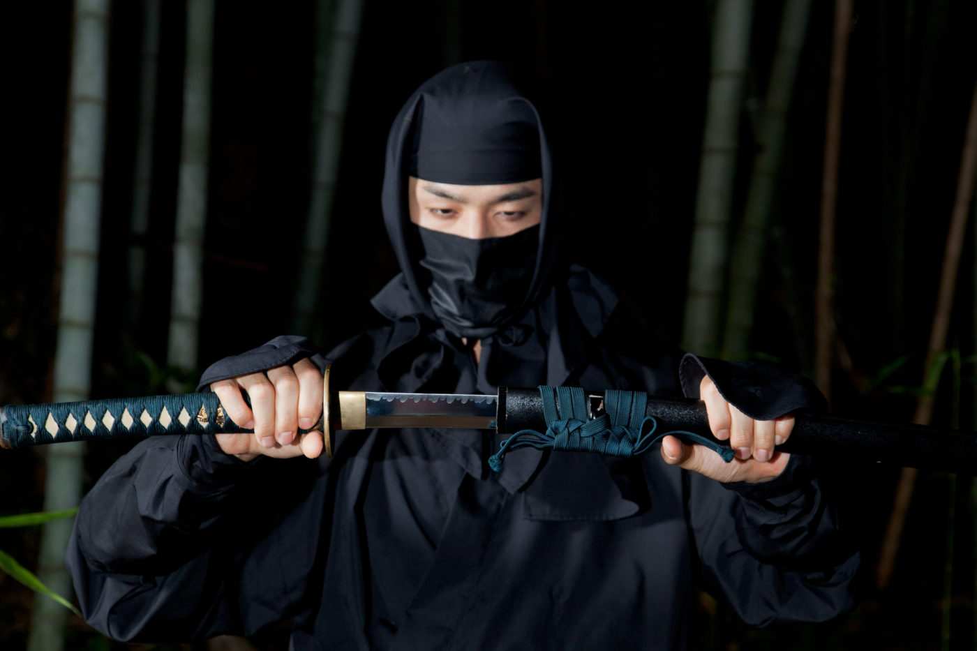 5 Things You Didn't Know About the Deadly Ninja (Probably)