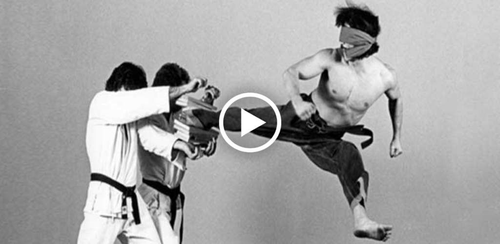 Grandmaster Hee iI Cho : Taekwondo's Greatest
